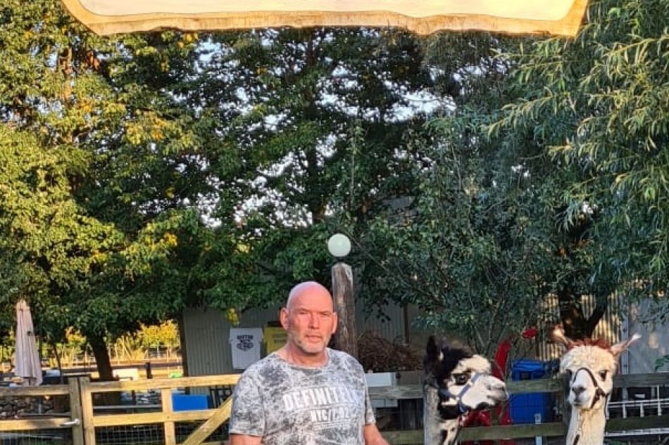 Wandelen met Alpaca’s geeft rust